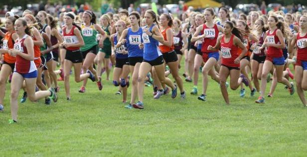 38th Annual IHSA Girls Cross Country State Championship Preview